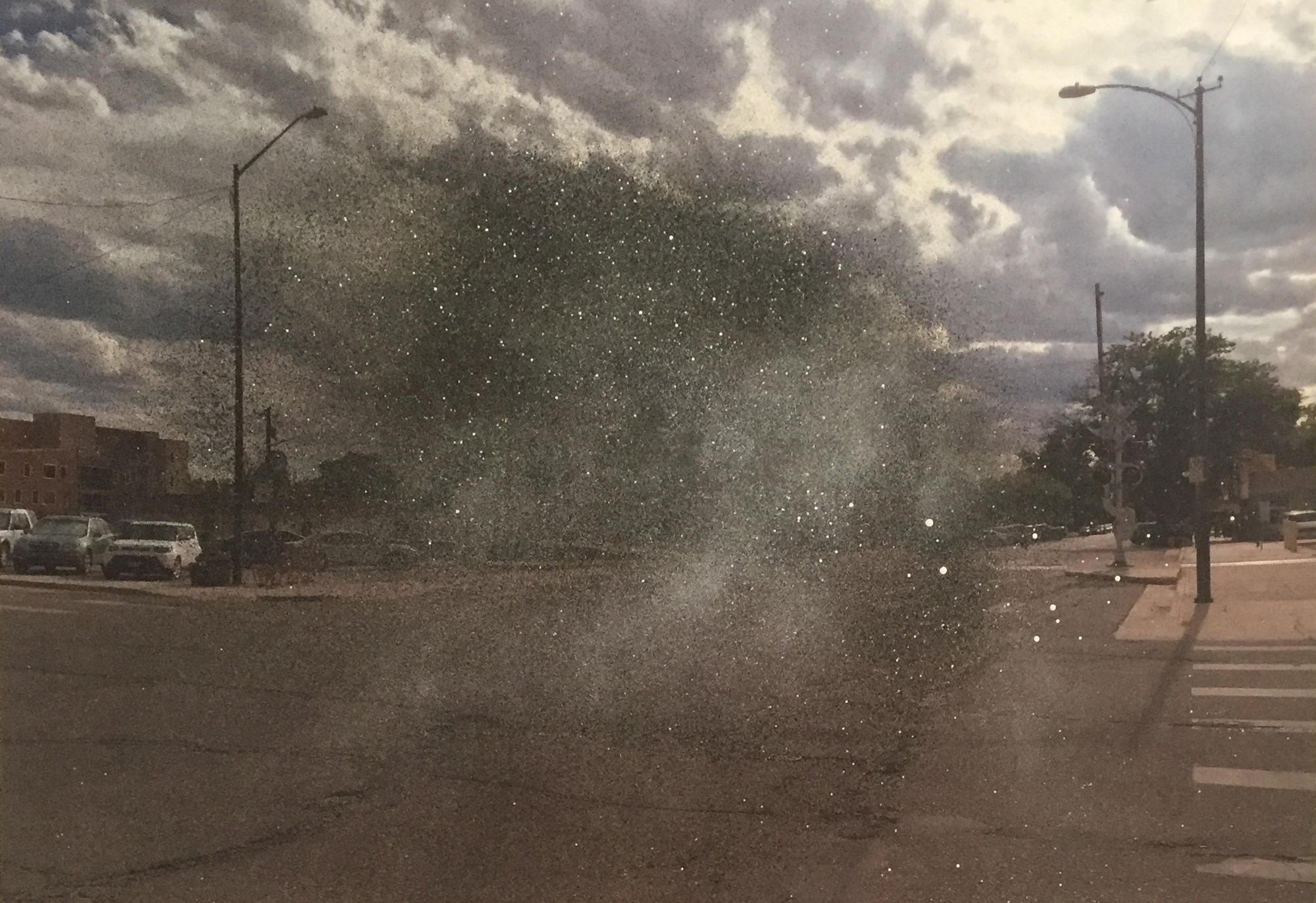 Smog – Recherches Esquisses Documents